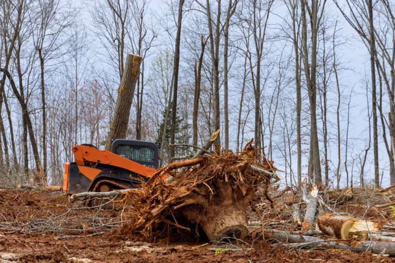 Clearing land to build a house - Top tools needed to clearing your plot ...