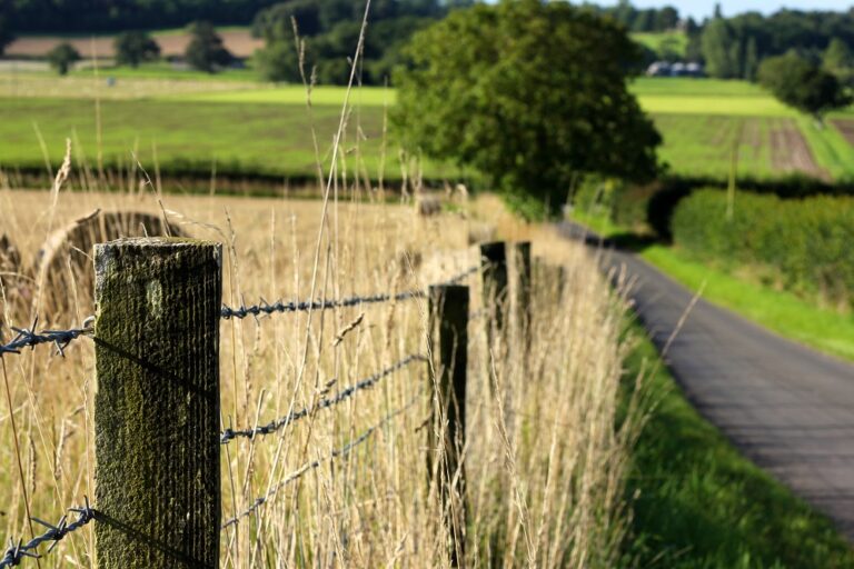 Crop Fencing 101 - Stop Pests, Save Time & Grow Better Crops! - Super ...