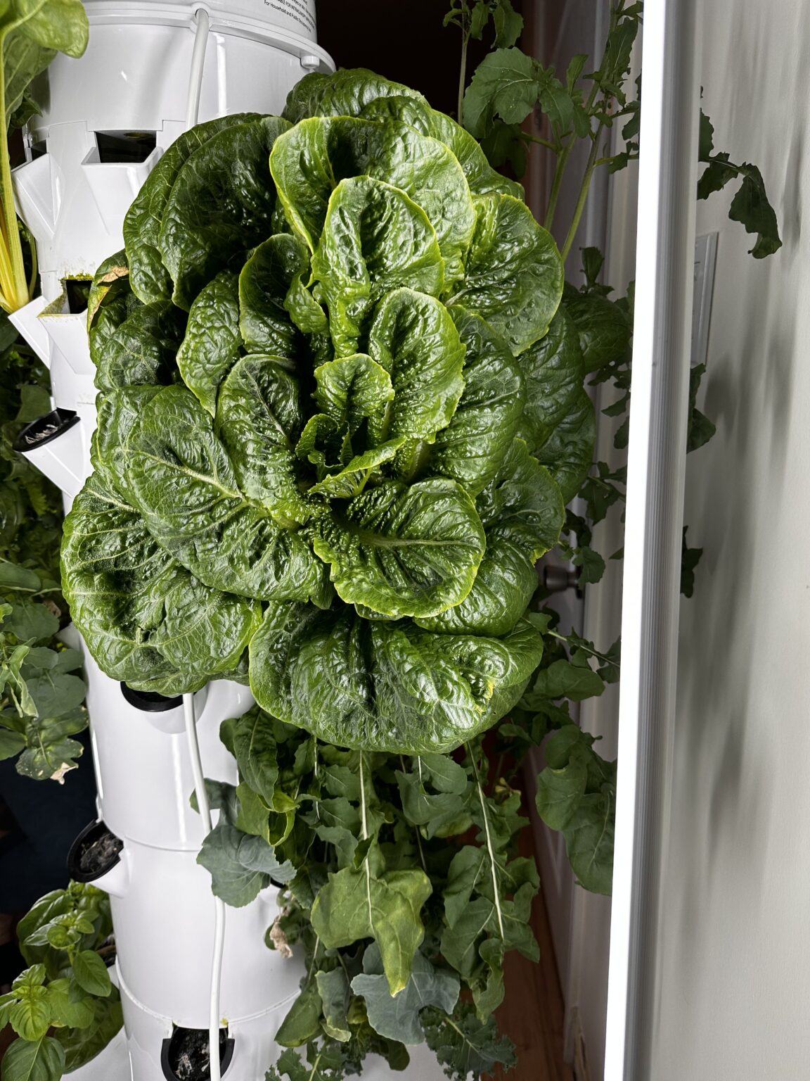 Tiny homes Archives - Super Tiny Homes